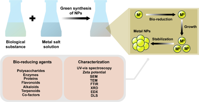 Perspectives and state-of-the-art use of metal-derived, porous ...