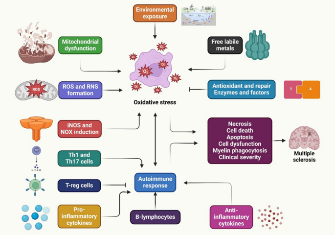 Multiple sclerosis: a comprehensive review of pathophysiology and ...