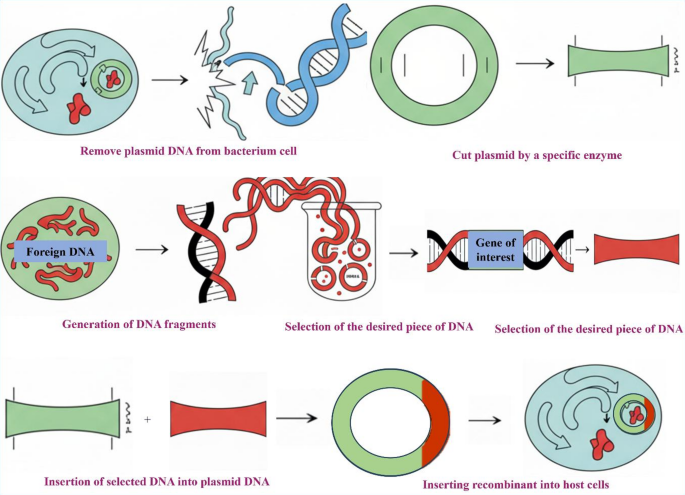 A comprehensive review on biotechnological approaches for improvement ...