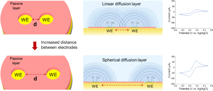 Electrochemical Immunoassay Using Diffusion Layer Dispersion Effect of ...