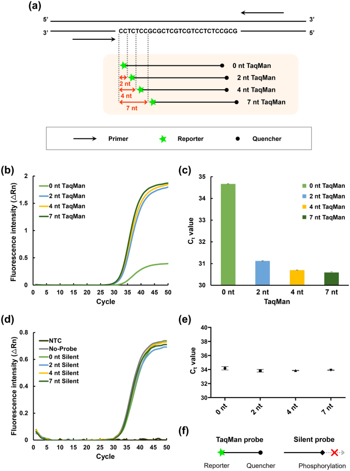 Optimization of TaqMan Probe Design for Short Template Strands ...