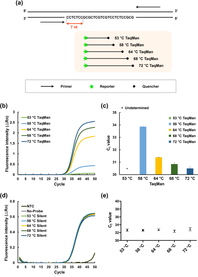 Optimization of TaqMan Probe Design for Short Template Strands ...
