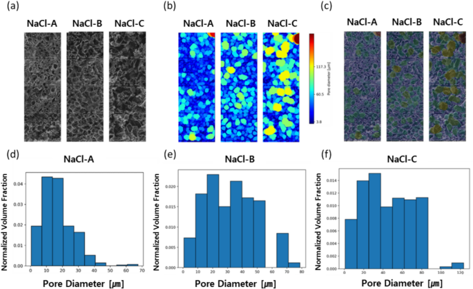 Fabrication of a Contraction-Free Full-Thickness Human Skin Equivalent ...
