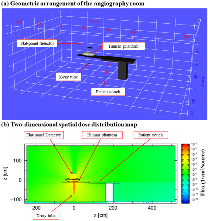 Visualization of spatial dose distribution for effective radiation protection education in ...