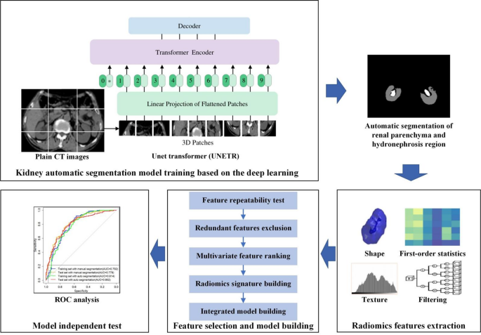 Artificial intelligence-based method for renal function automatic ...
