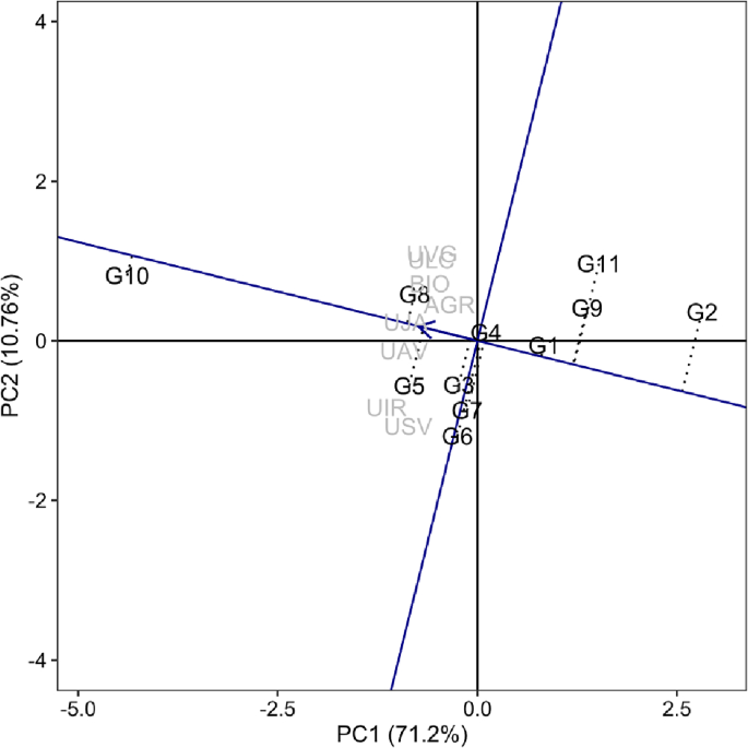Impact of the Removal of Genotypes on the Formation of Mega ...