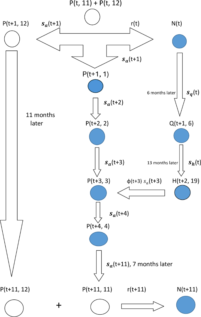 Hierarchical Bayesian Integrated Modeling Of Age And Sex Structured