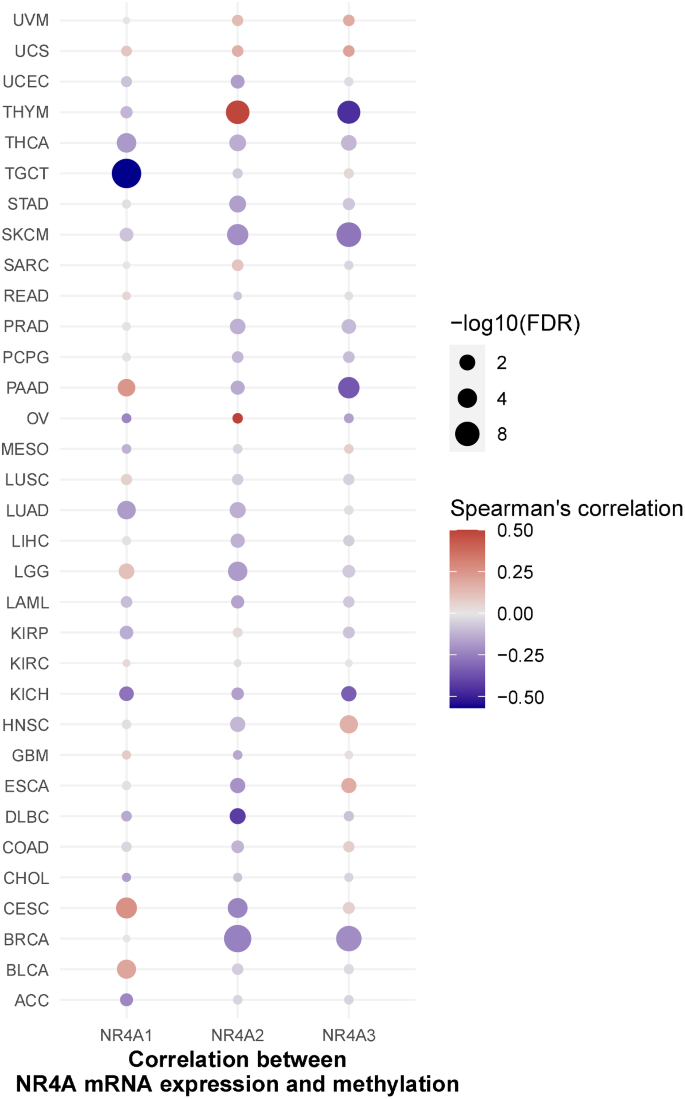A pan-cancer analysis unveiling the function of NR4A family genes in ...