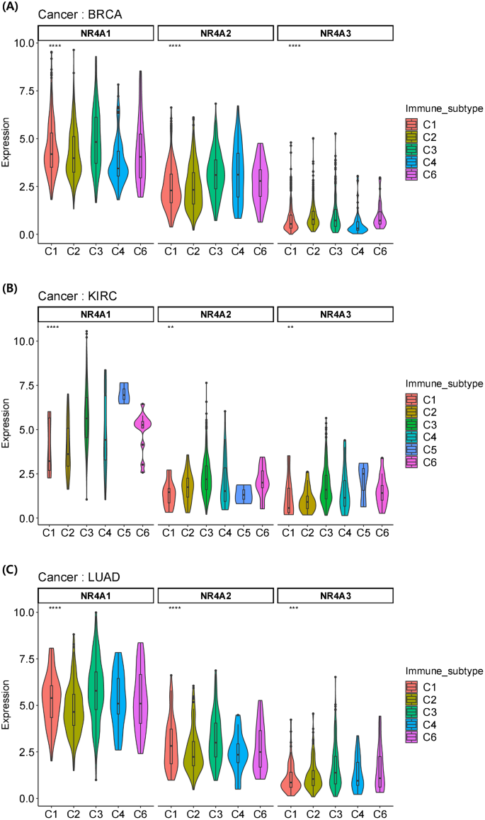 A pan-cancer analysis unveiling the function of NR4A family genes in ...