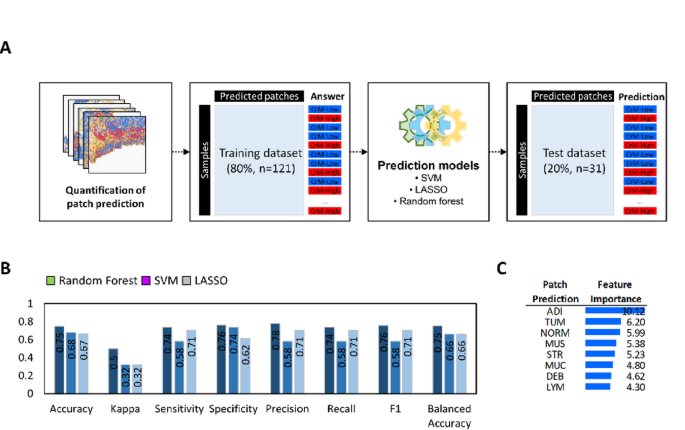 Deep learning-driven whole-slide image analysis predicts chemo ...