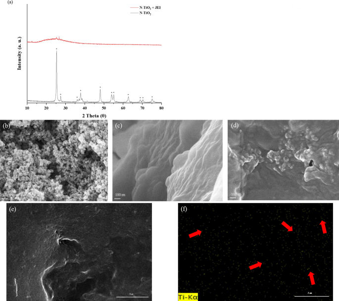 Nano-TiO2 removal using jellyfish extracts and an assessment of aquatic ...