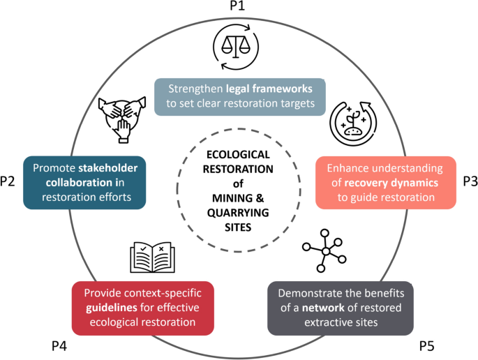 Maximising biodiversity potential in Europe’s mines and quarries: A key ...