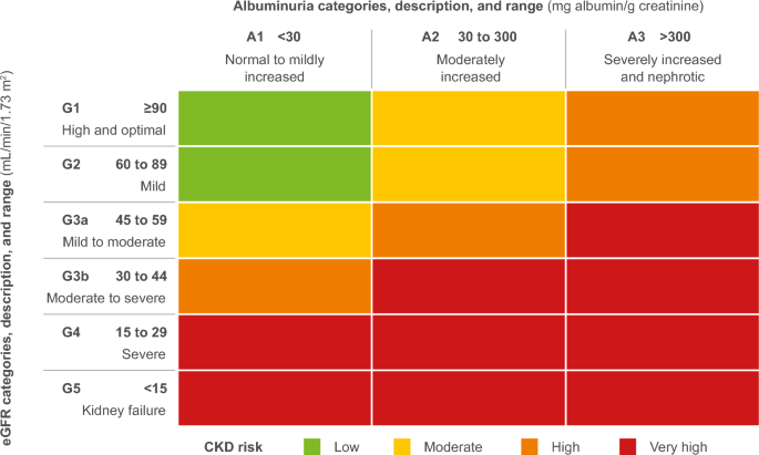 Pillar Risk-Based Treatment for Chronic Kidney Disease in People With ...