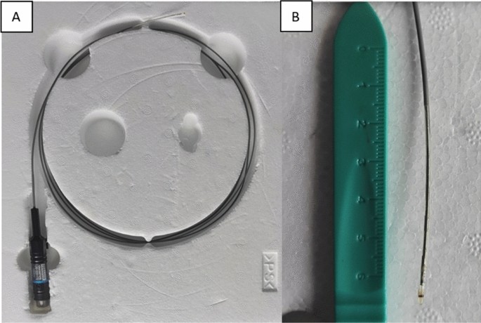 Intraoperative intraductal ultrasonography of the main pancreatic duct ...