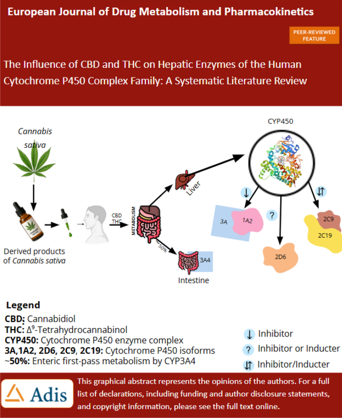 The Influence of CBD and THC on Hepatic Enzymes of the Human Cytochrome ...