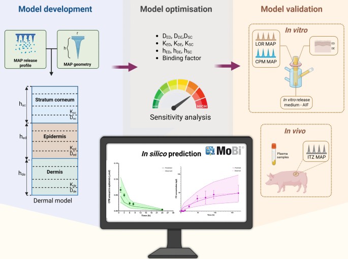 From simulation to application: enhancing preclinical evaluation of ...