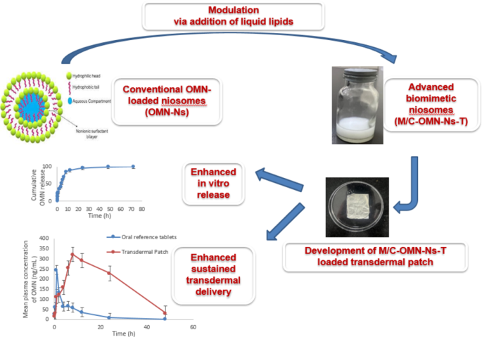 Advanced lipid-based niosomes for enhanced transdermal delivery of ...