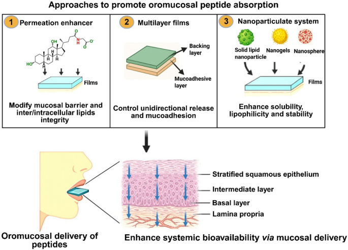 Oromucosal films for peptide delivery: formulation strategies using ...
