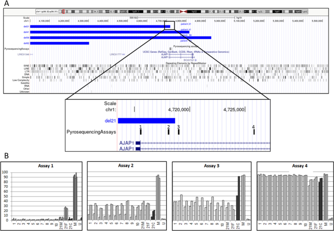 DNA methylation dysregulation patterns in the 1p36 region instability ...