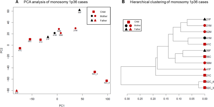 DNA methylation dysregulation patterns in the 1p36 region instability ...