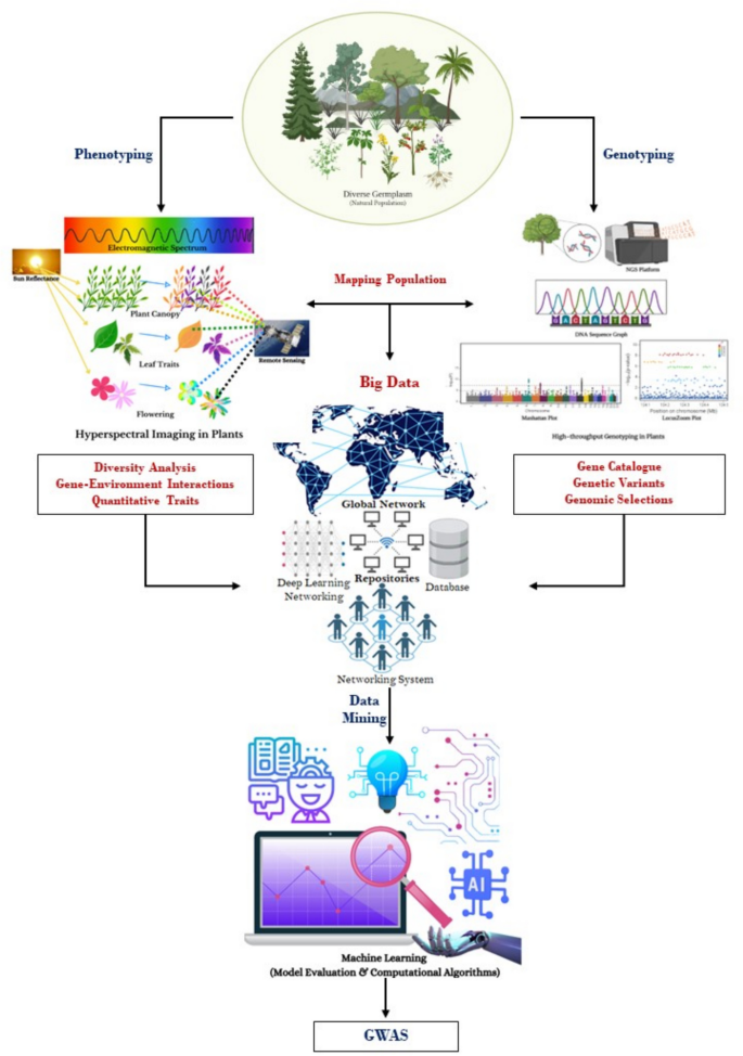 Genome-wide association study bridging genomics–phenomics gap in ...