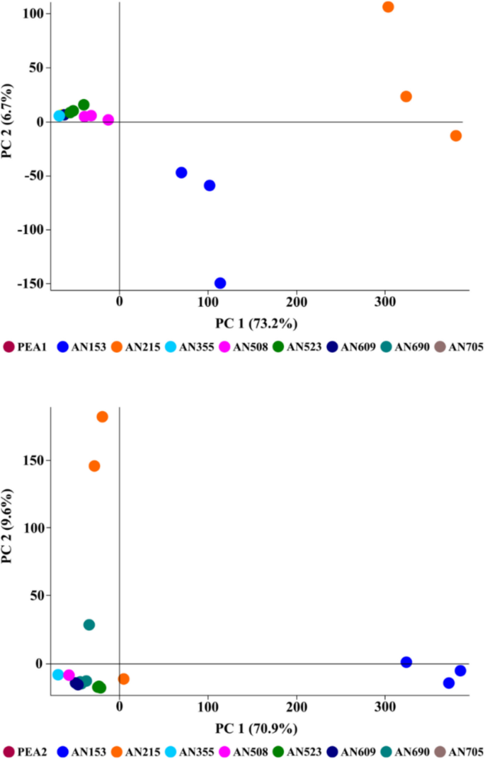 Interfungal antagonism between Trichoderma and Fusarium proliferatum ...