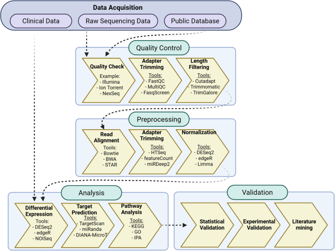 MicroRNA bioinformatics in precision oncology: an integrated pipeline ...