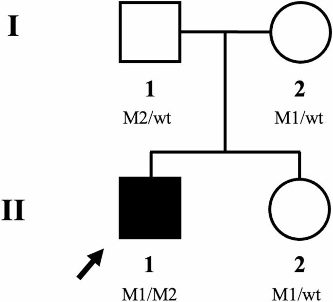 Further evidence for a wide phenotypic and mutational spectrum of Cohen ...