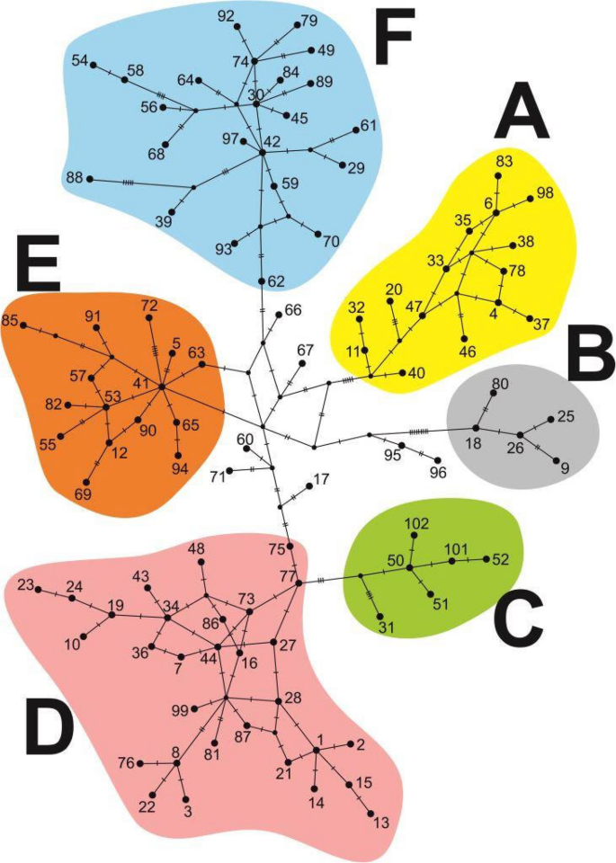 Phylogeography of the Siberian roe deer in Eurasia and origin of the ...