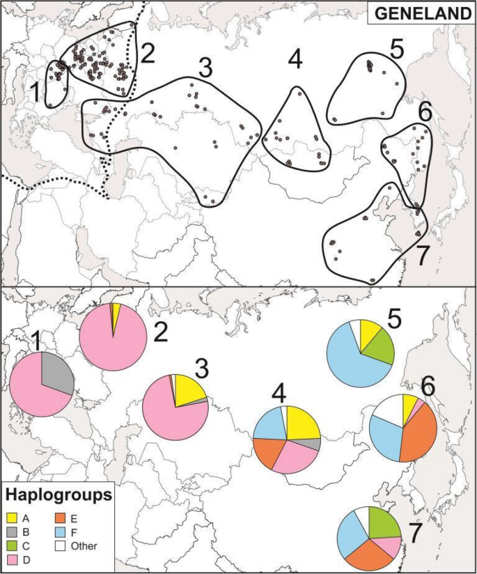 Phylogeography of the Siberian roe deer in Eurasia and origin of the ...