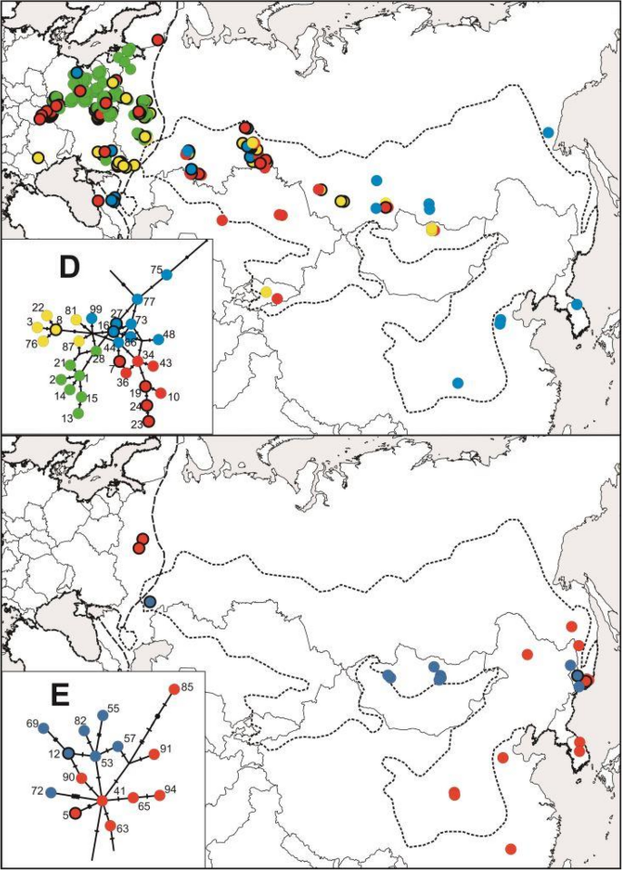 Phylogeography of the Siberian roe deer in Eurasia and origin of the ...