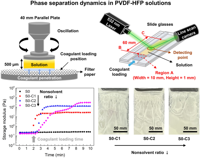 Rheological and light scattering analyses for characterizing phase ...