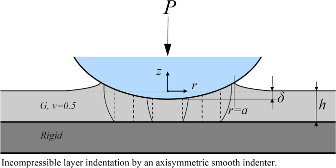 The computational method with the deformed mesh interfaces for an incompressible layer ...