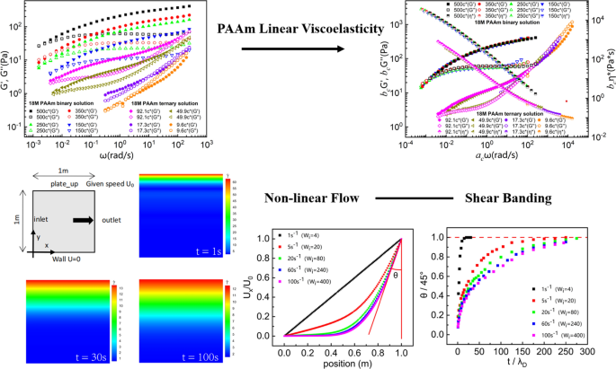 Transient shear banding of highly polydisperse polymer solutions and ...
