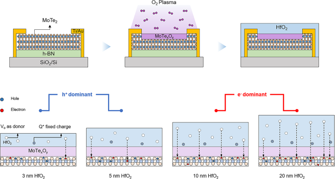 Doping and Passivation Effects in Transition Metal Dichalcogenides via ...