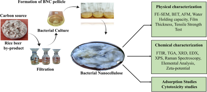Production of bacterial nanocellulose as green adsorbent matrix using ...