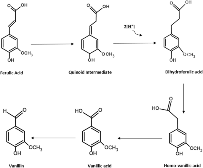 Biotransformation of fruit wastes into bio-vanillin: a natural aromatic ...