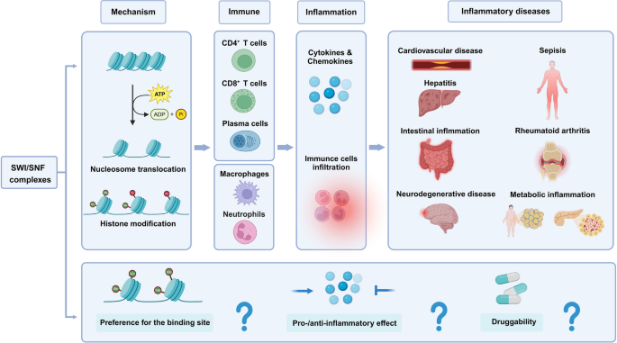 Fabrication, characterization, and adsorption studies of thermally ...
