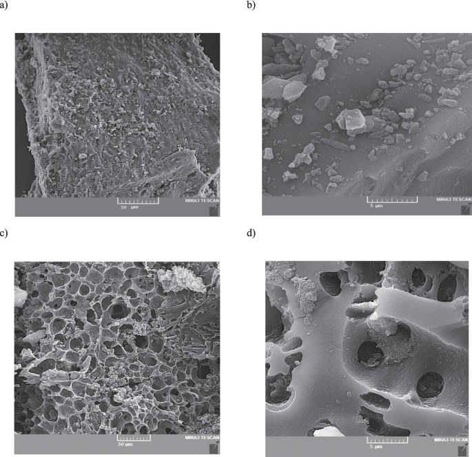Synthesis of effective potassium-based-modified bio-carbon from date ...