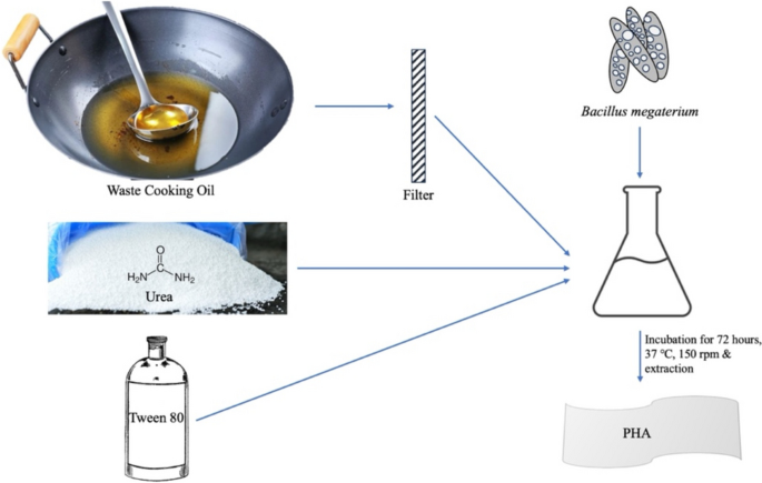Valorization of waste cooking oil (WCO) for production of ...