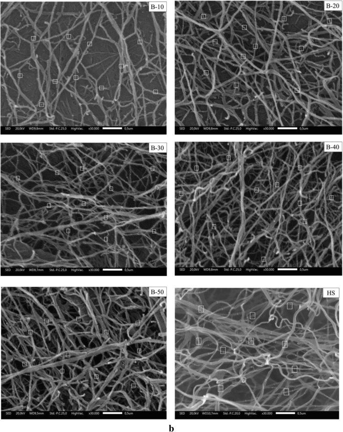 Enhanced bacterial cellulose production from black soy sauce residue by ...