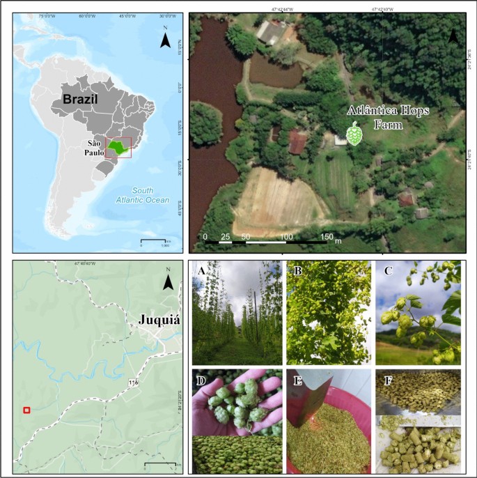 Chemical and biotechnological characterization of supercritical CO2 ...
