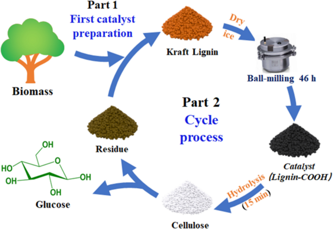 Lignin-derived carboxylated carbon nanocatalysts for biomass hydrolysis ...