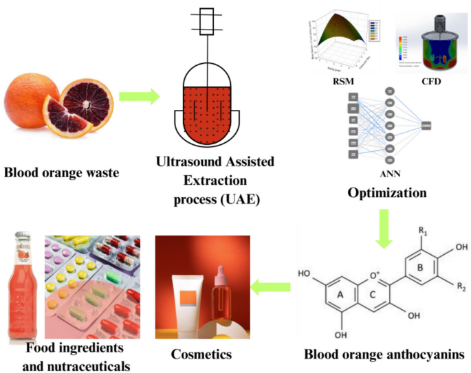 Extraction of anthocyanins from blood orange waste assisted by ...