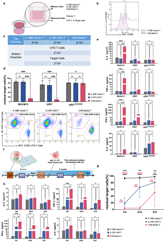 A dual-targeting approach with anti-IL10R CAR-T cells engineered to ...