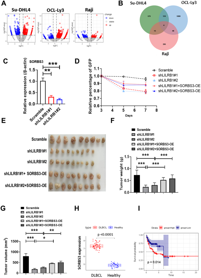 LILRB1 enhances the progression of diffuse large B-cell lymphoma ...