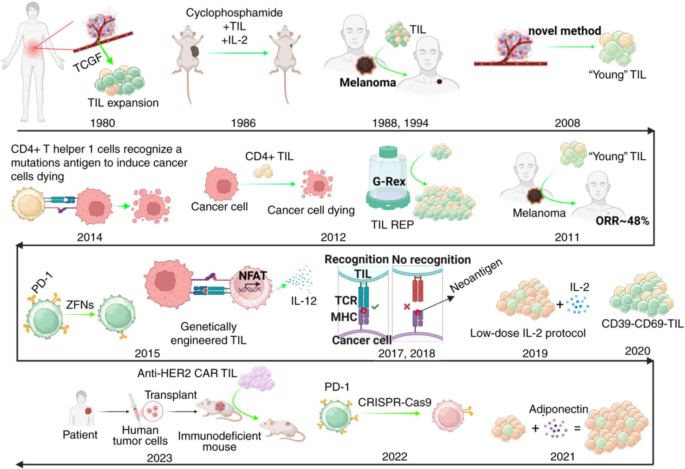 Tumor-infiltrating lymphocyte expansion protocols for adoptive cell ...