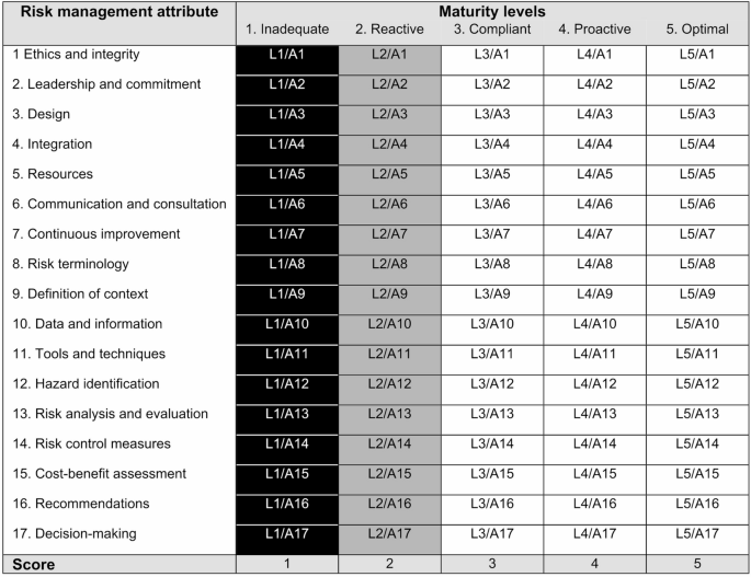 Risk maturity model for maritime authorities: testing the internal ...