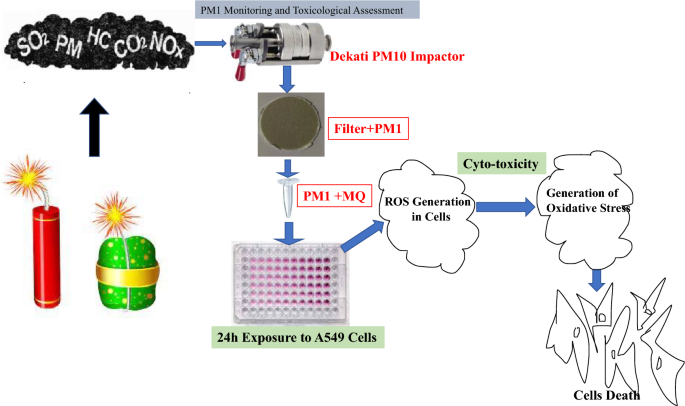 Toxicity of ultrafine particles during Diwali’s firework: an in-vitro ...