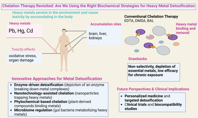Modern perspectives on chelation therapy: optimizing biochemical ...